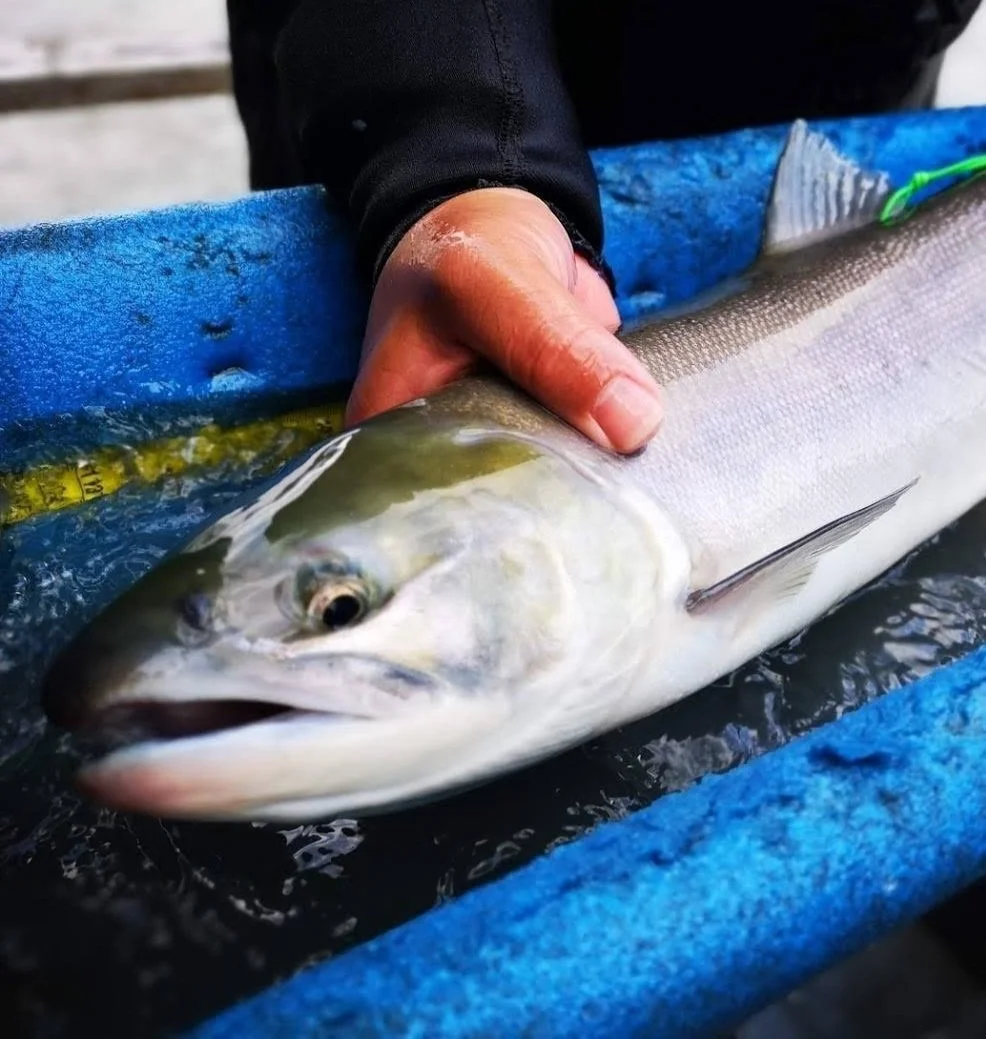 Indigenous Fishing Methods — Centre for Indigenous Fisheries