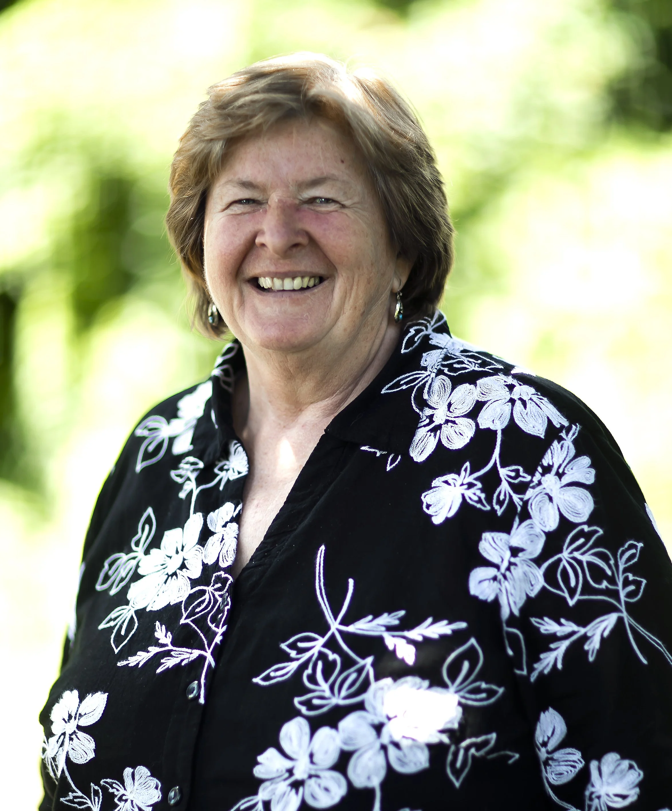 Environmental Experts — Aries Engineering Experts in hydrogeologic ...