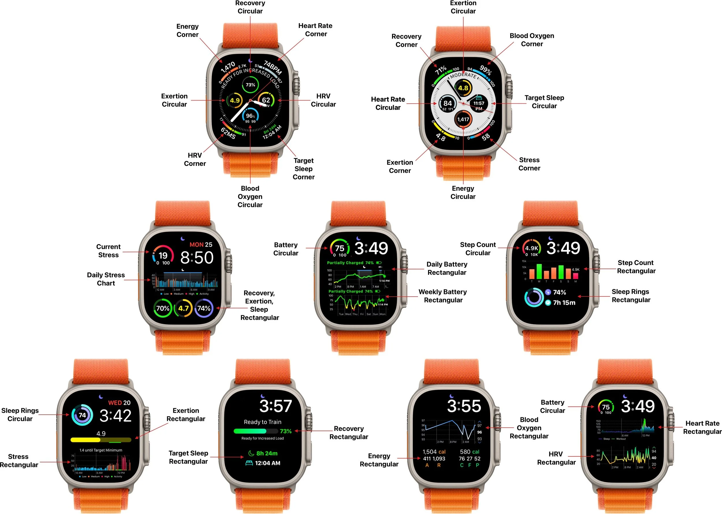 Watch Widgets — Athlytic