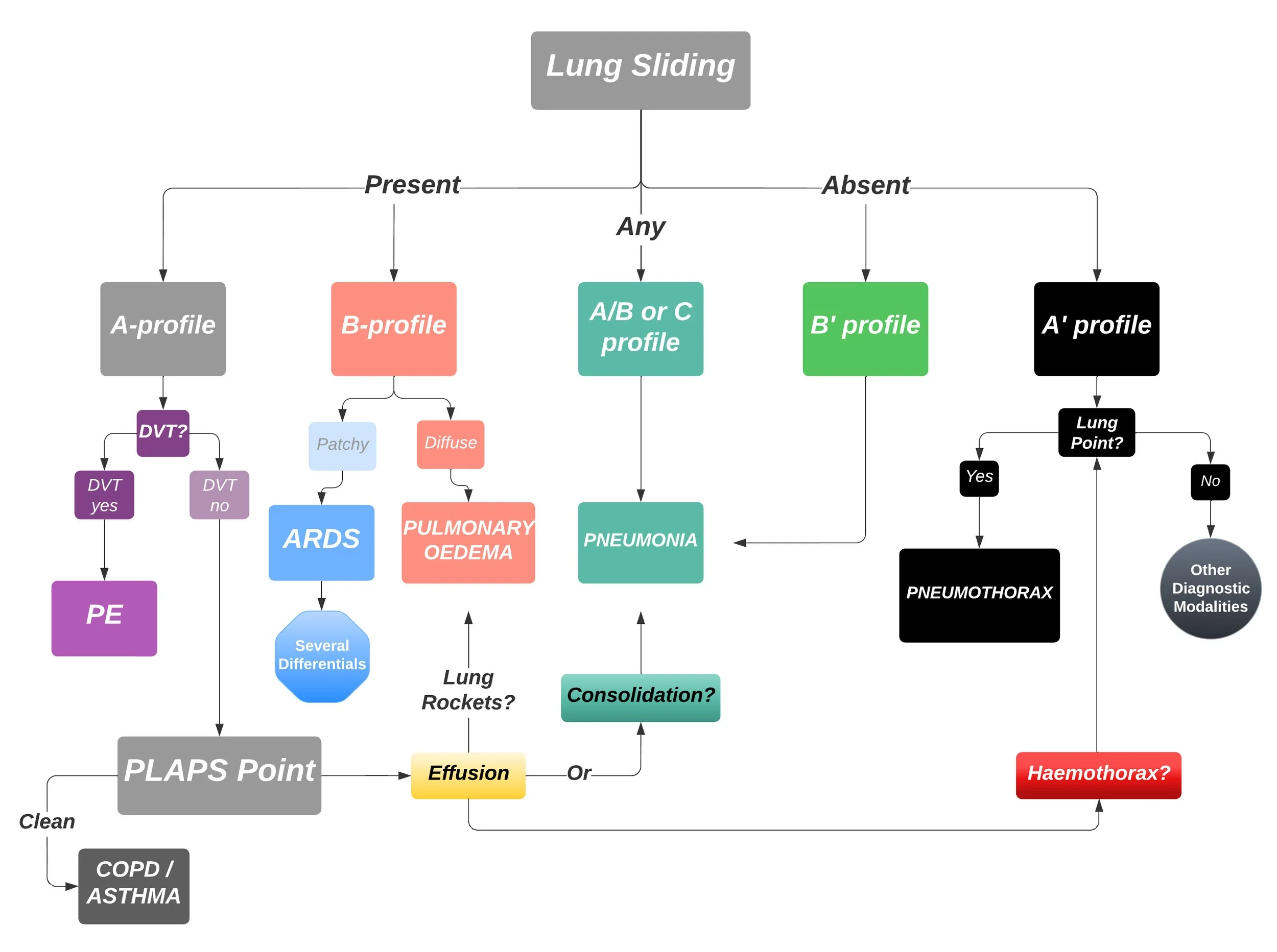 Lung — Ultra Sono