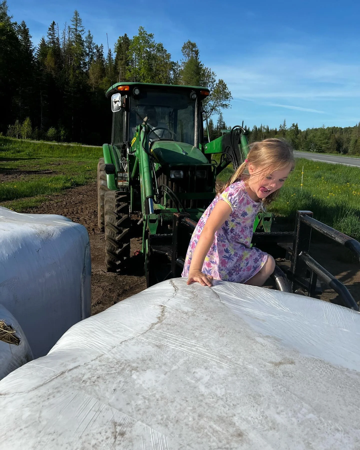 Bartlett Family Farm | Beef and Pork | Greensboro, VT