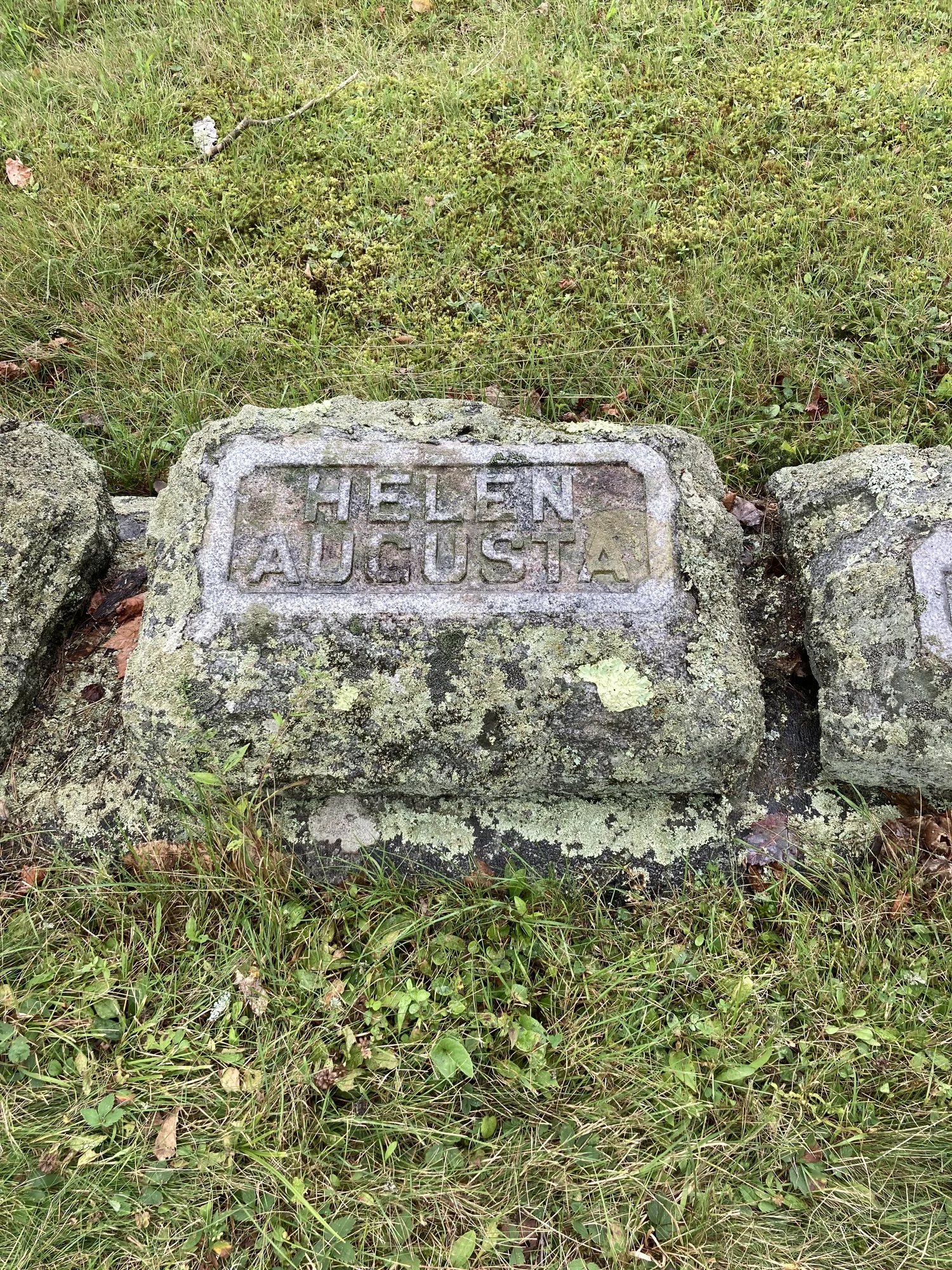 Blog: Helen Blanchard — Taphotopia