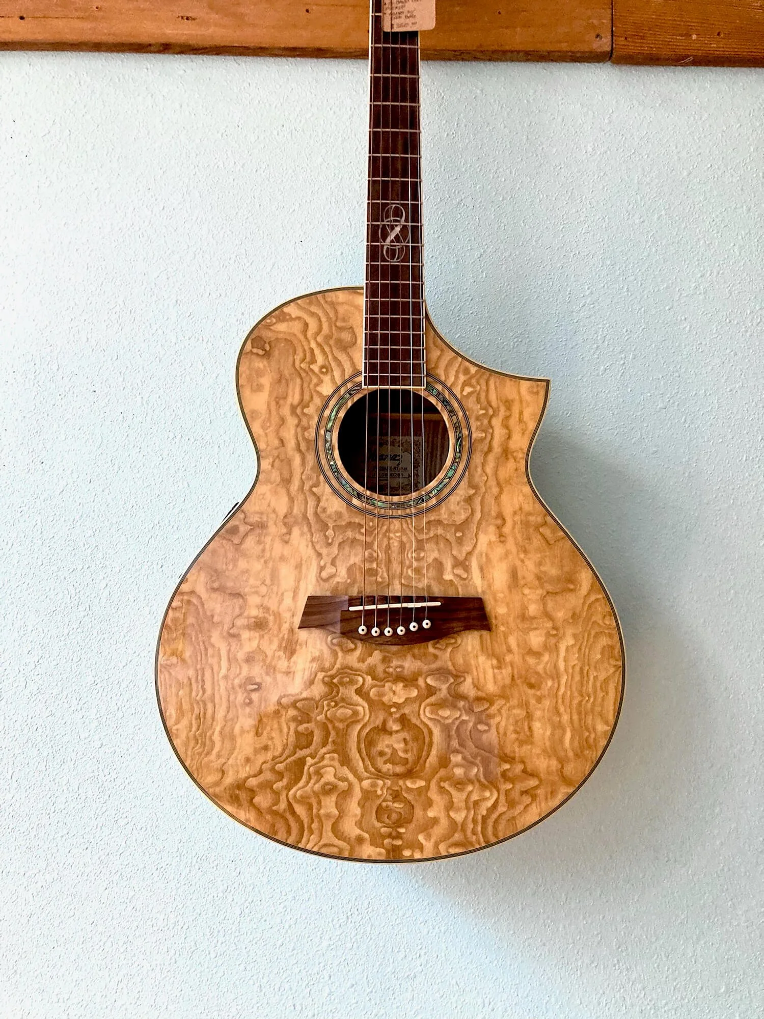 Ibanez Acoustic Guitar Exotic Wood