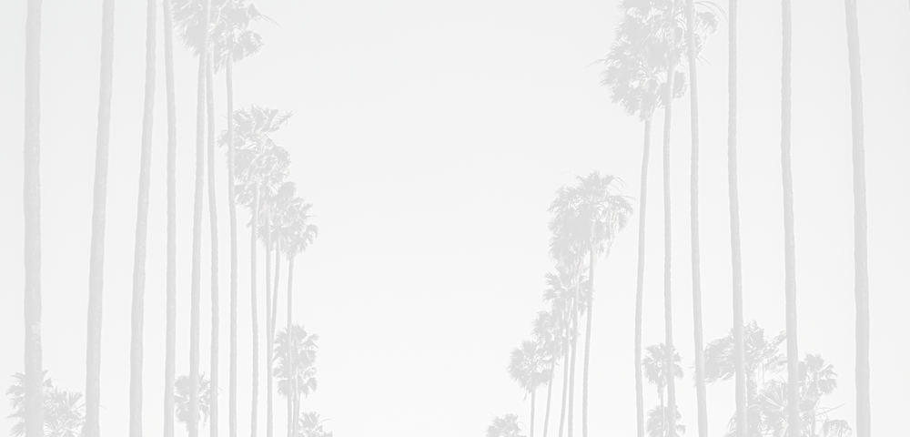 SAG-AFTRA Signatory Company — CMS Productions