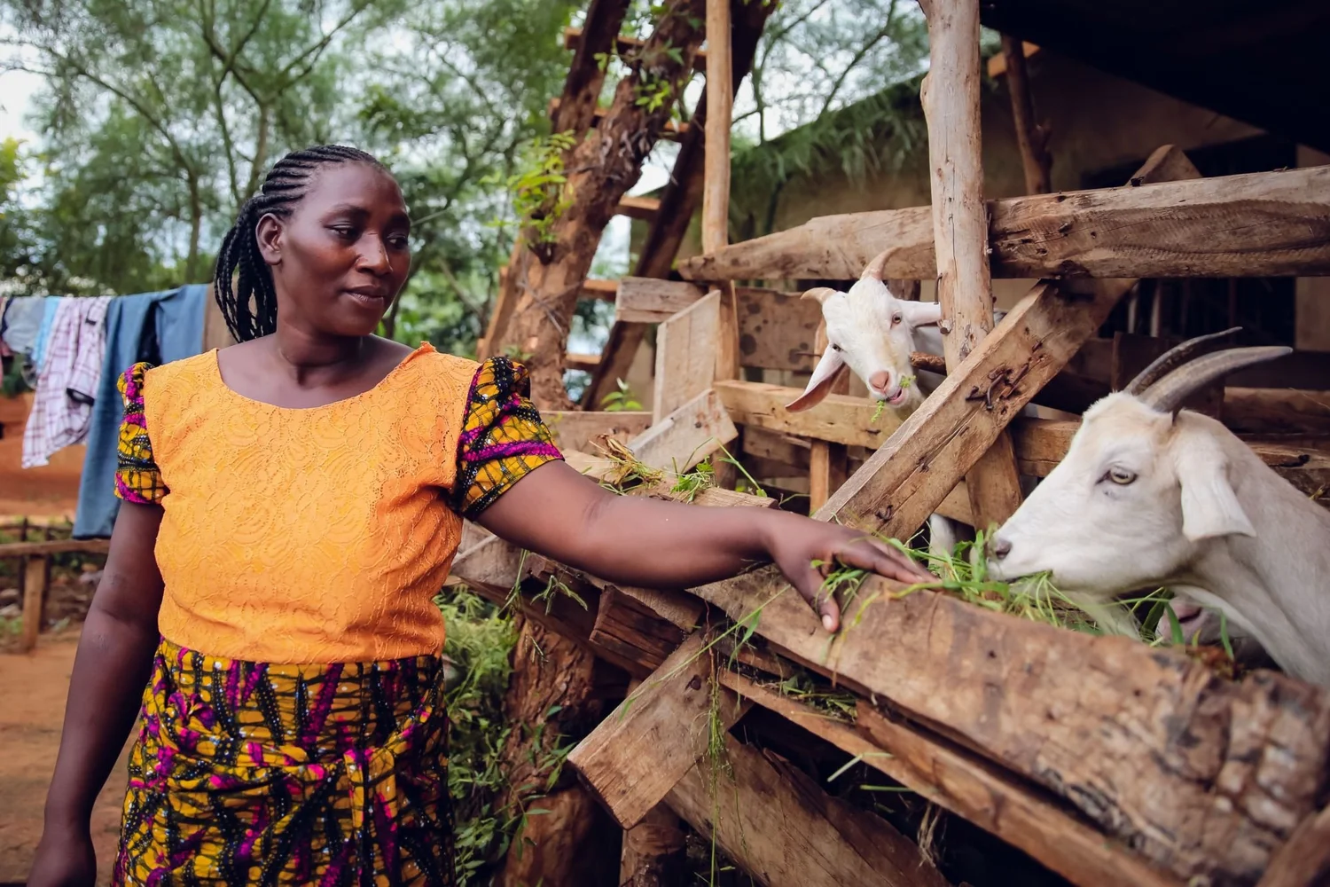 ECONOMIC EMPOWERMENT — Empower Tanzania