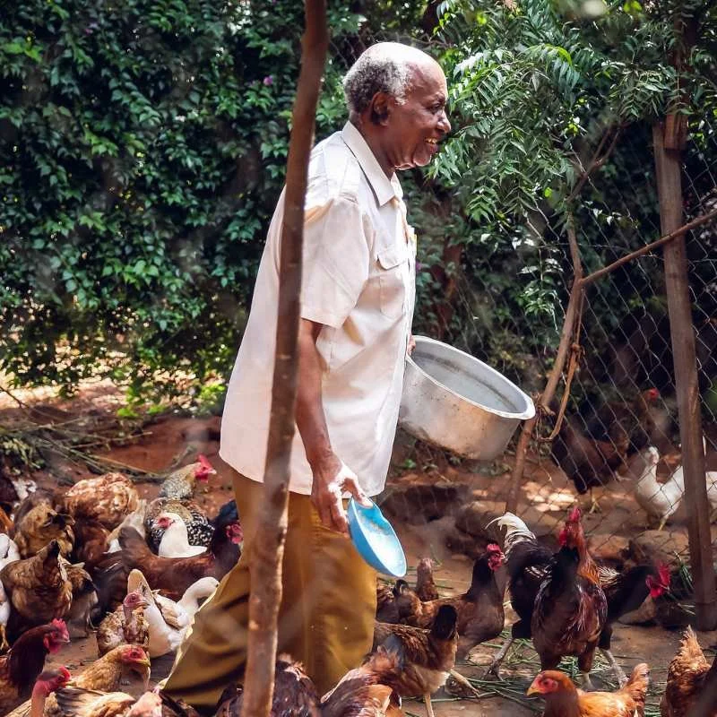 Agricultural Development — Empower Tanzania