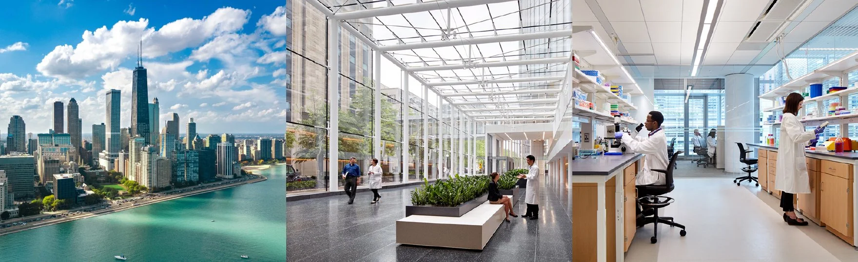 Peng Zhang - Nano-immunology Laboratory @ Northwestern