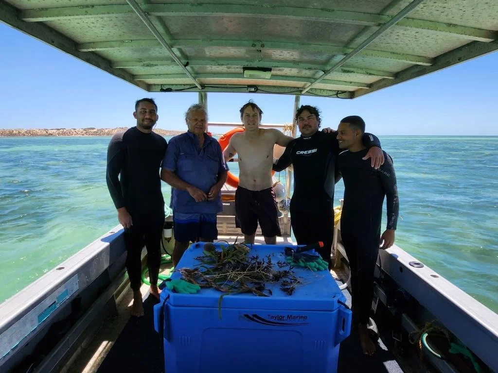 Seagrass — Immersion Group