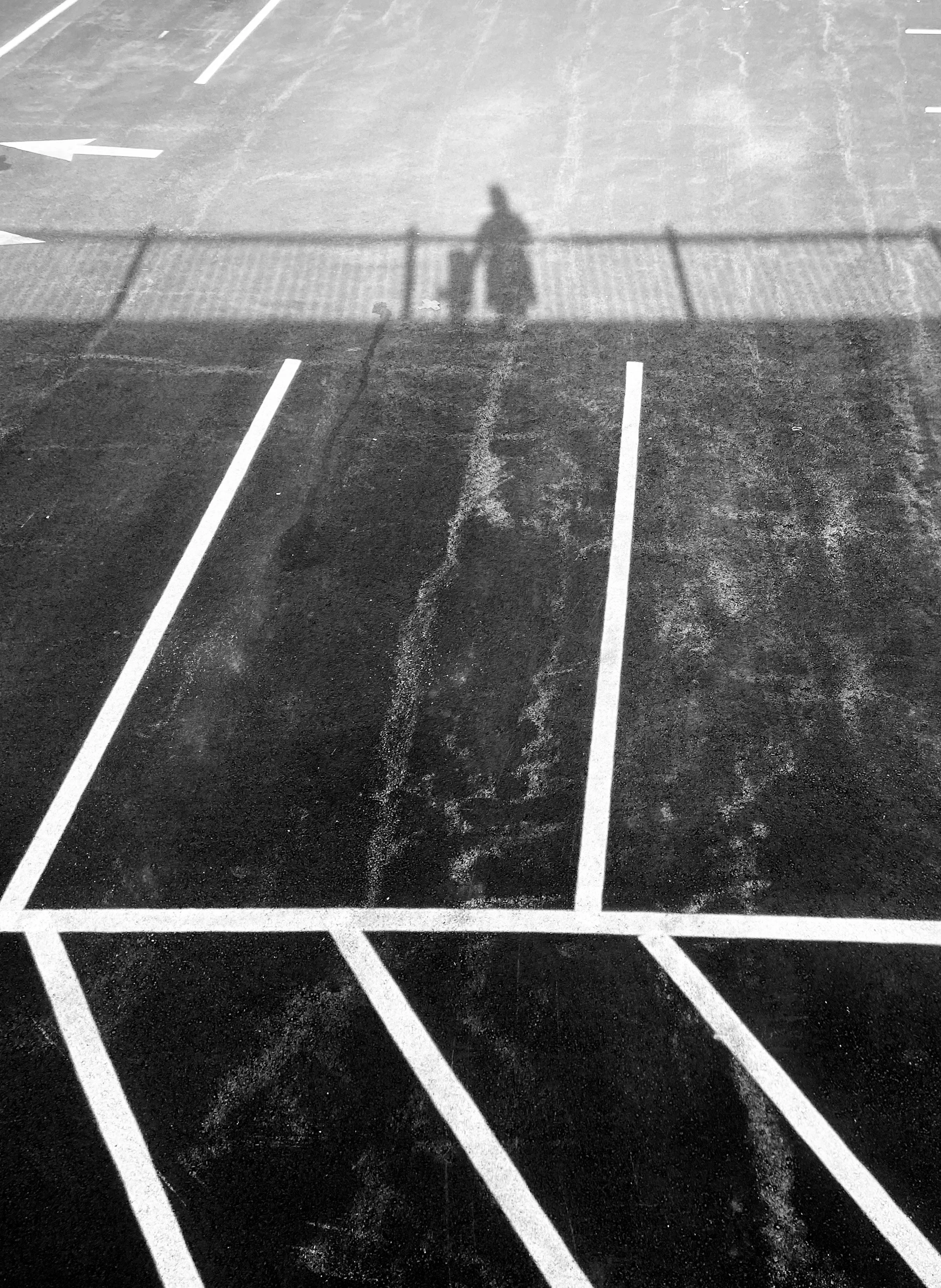 3 tips to get in the frame. — Seana Williamson Studios