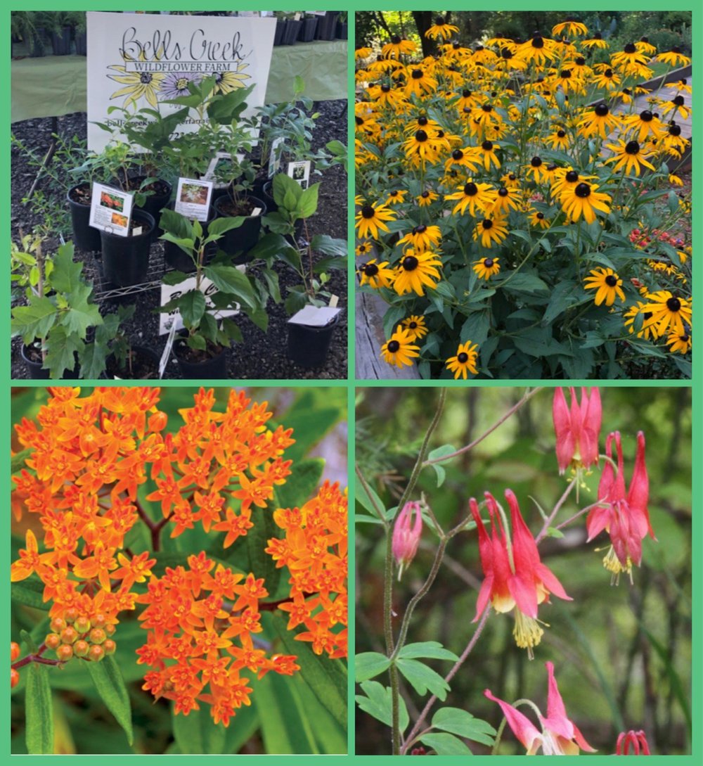 Market Vendors | Shop Local Now – Visit Today — The Farm Center Seneca, SC