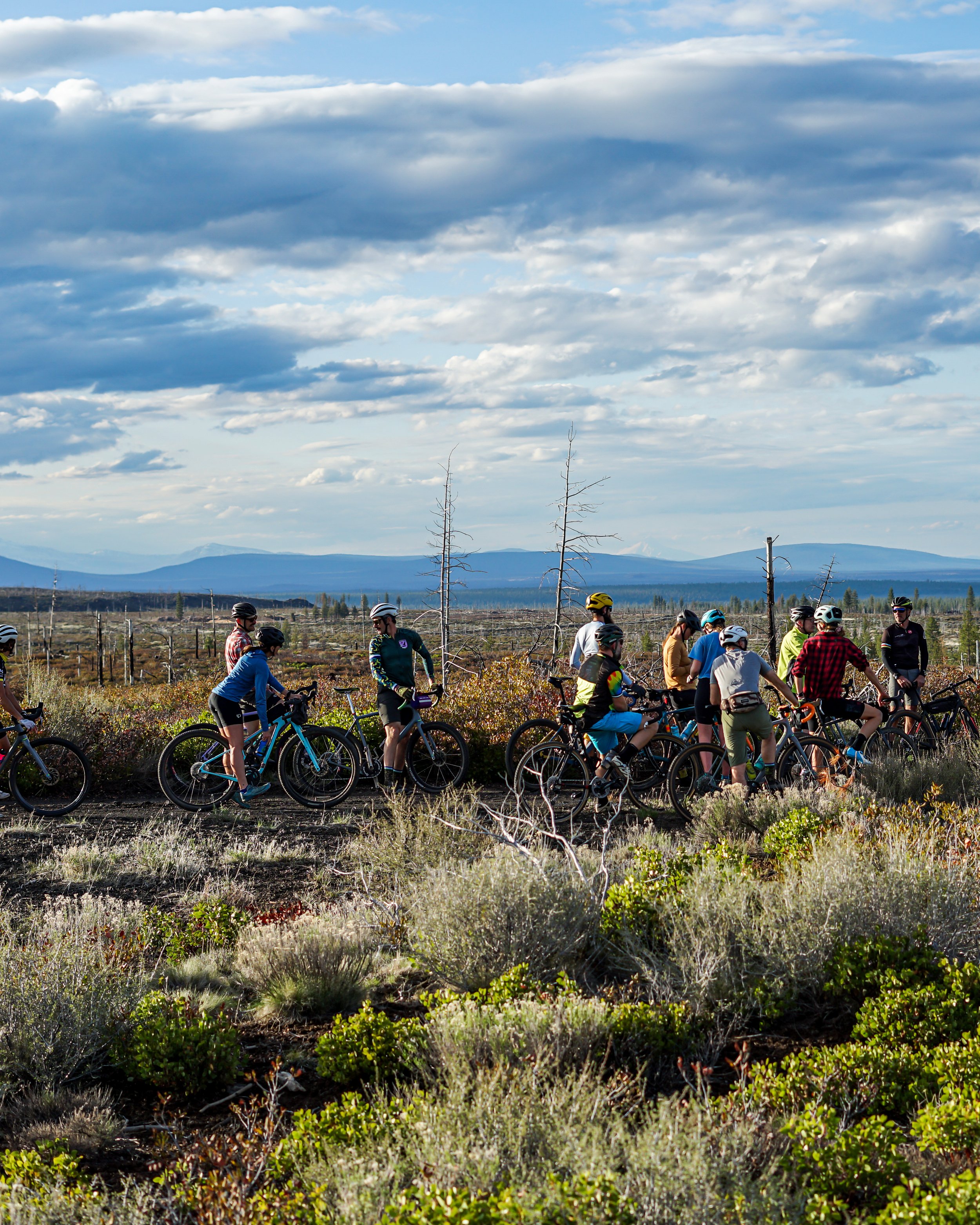 Expert Ski, Snowboard & Bike Services In Bend Oregon