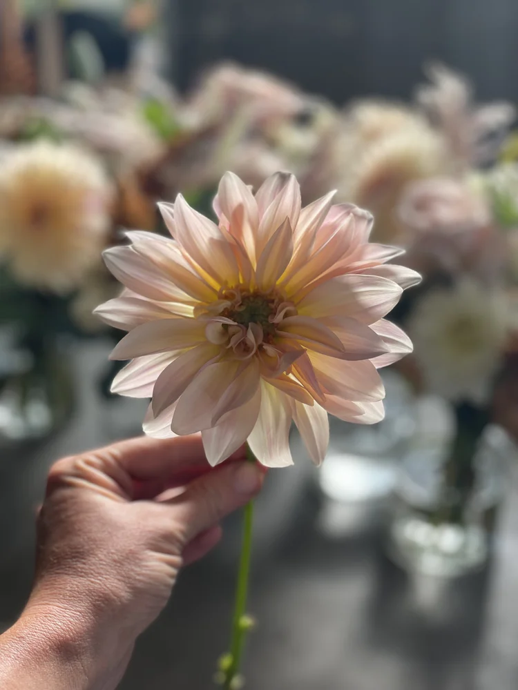 J. Costello Designs | Lifestyle & Event Florist Royal Oak, MI