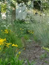 Ravenna Garden — Supernature