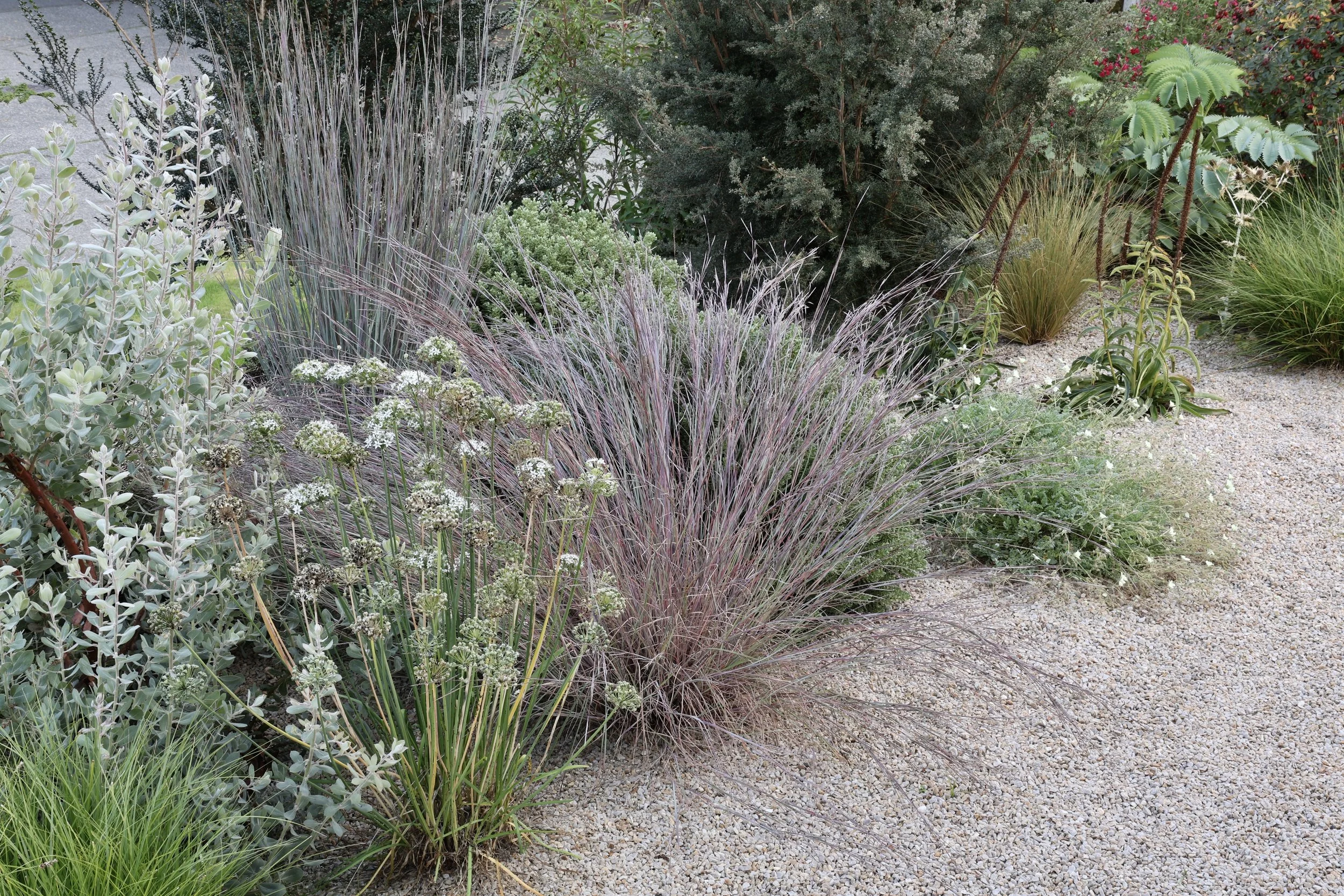 Lump Revisionist Garden — Supernature