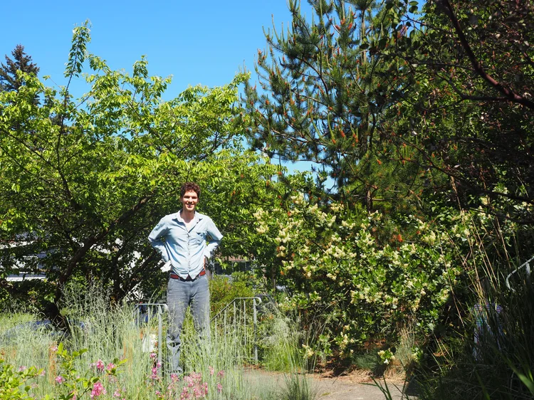 Ravenna Garden — Supernature
