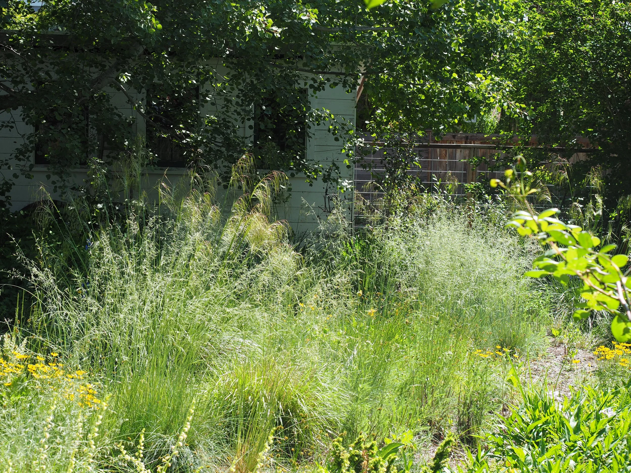 Ravenna Garden — Supernature