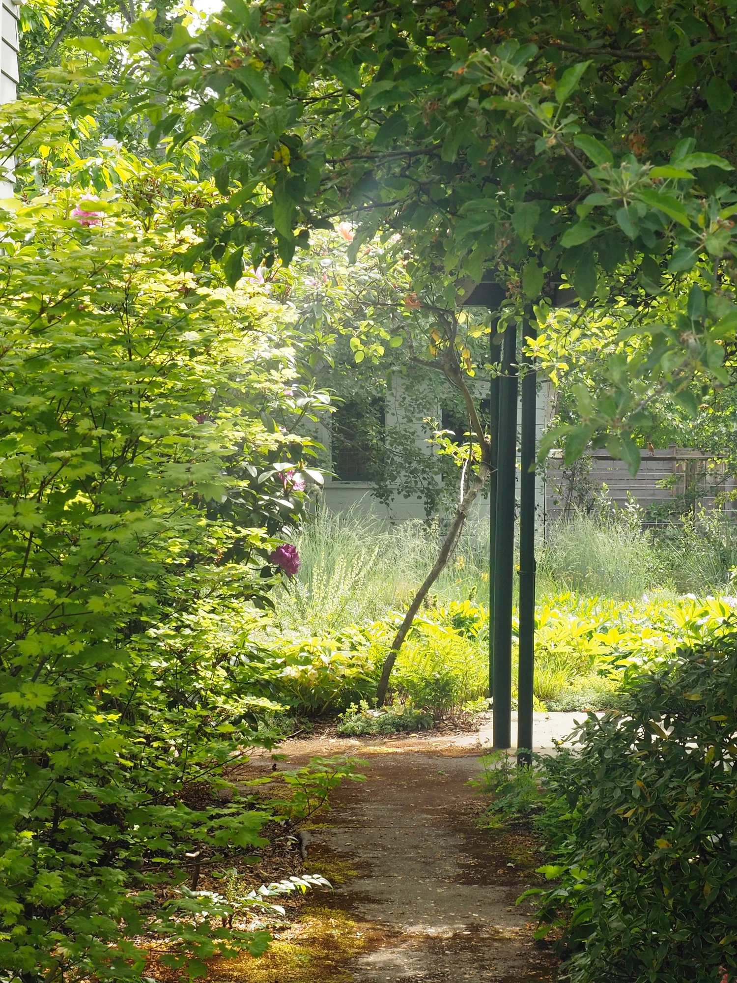 Ravenna Garden — Supernature