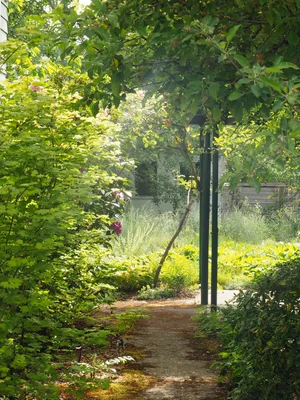 Ravenna Garden — Supernature
