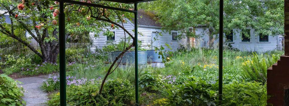 Ravenna Garden — Supernature