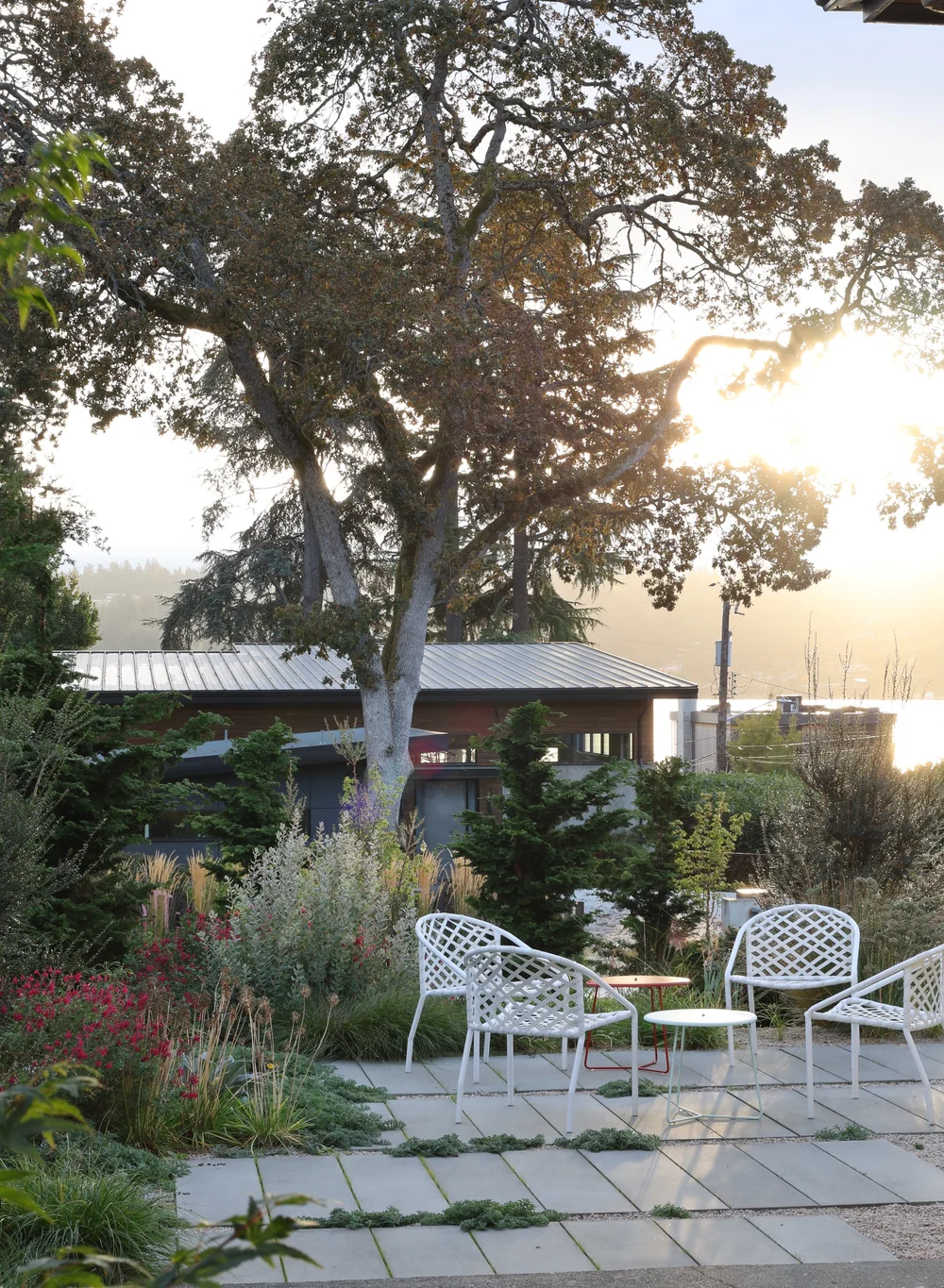 Lump Revisionist Garden — Supernature