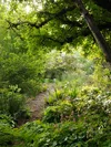 Ravenna Garden — Supernature