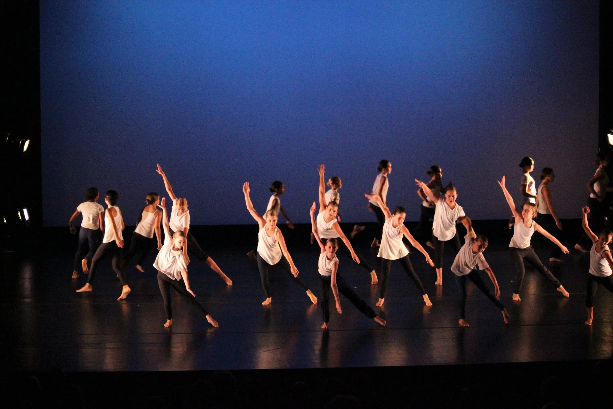 Intensive Registration — EISENHOWER DANCE DETROIT