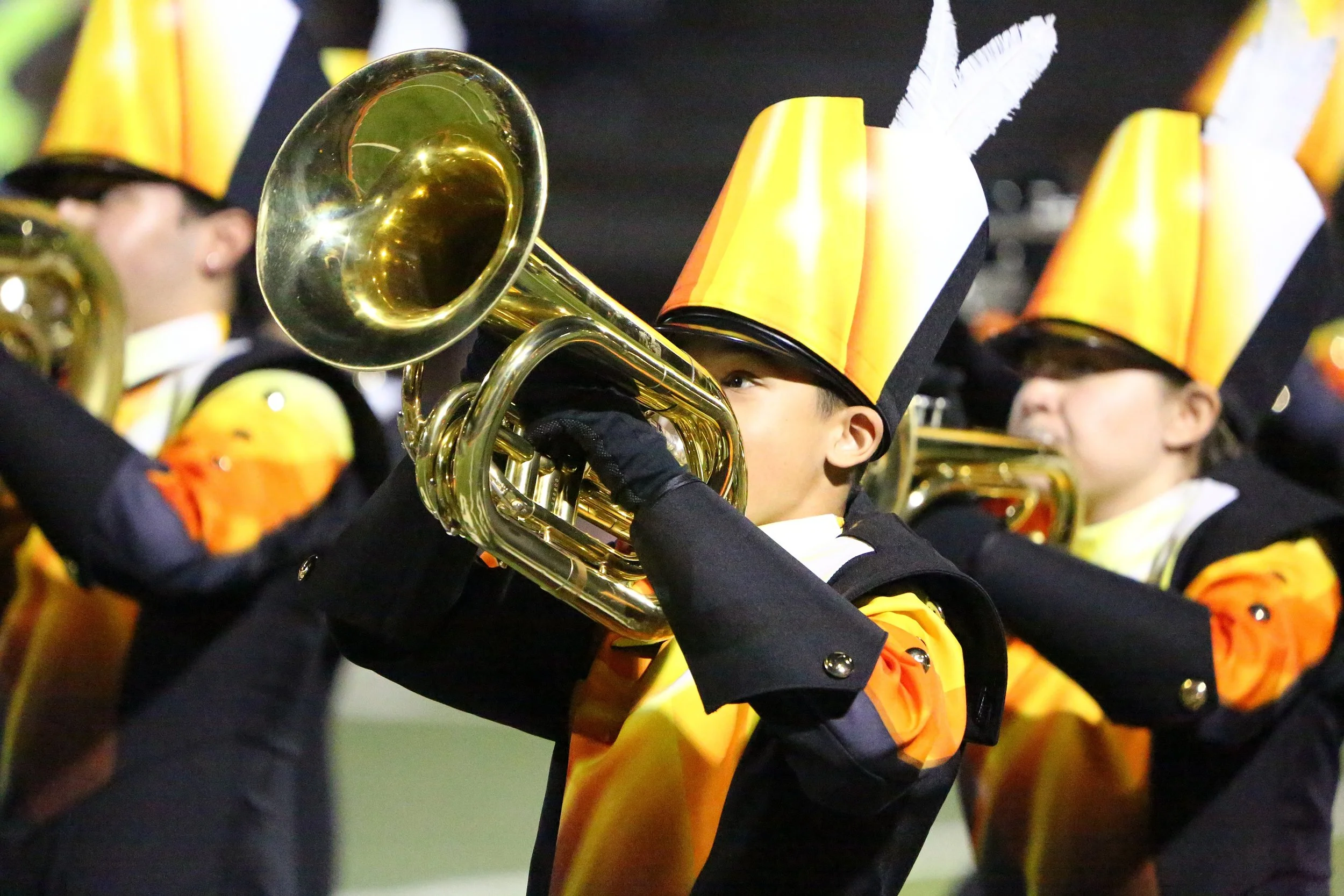 Corona del Sol Bands