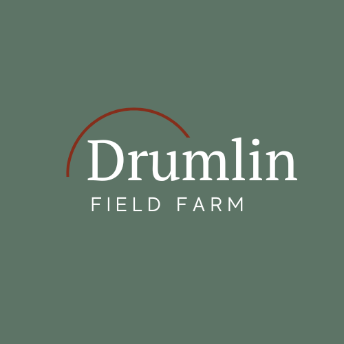 Drumlin Field