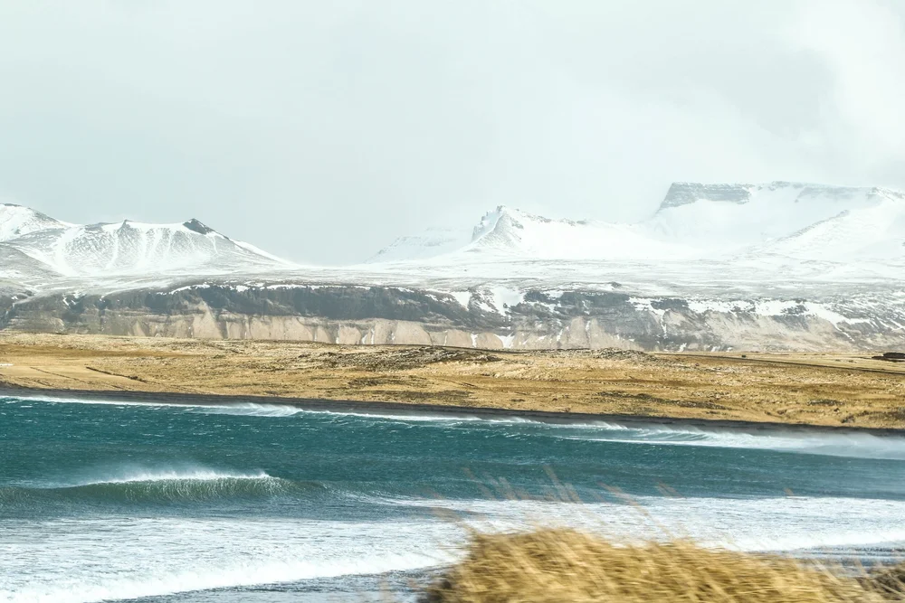 Tweedie Boards, Surf & snow brand, High Quality Affordable surf and ...