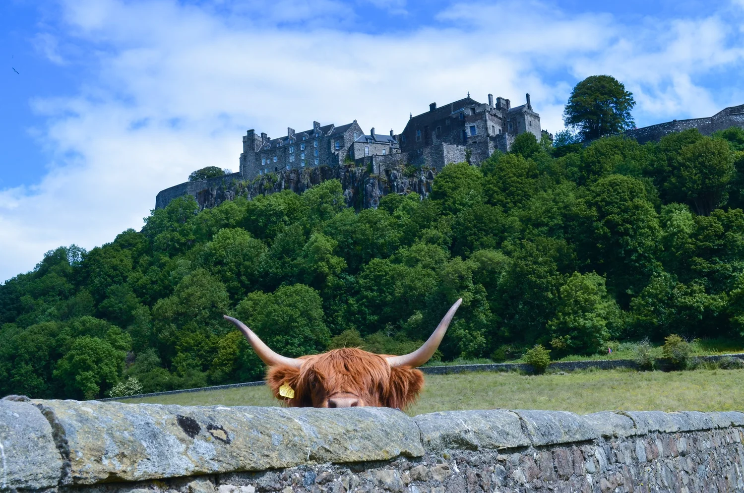 Stirling Photography Festival