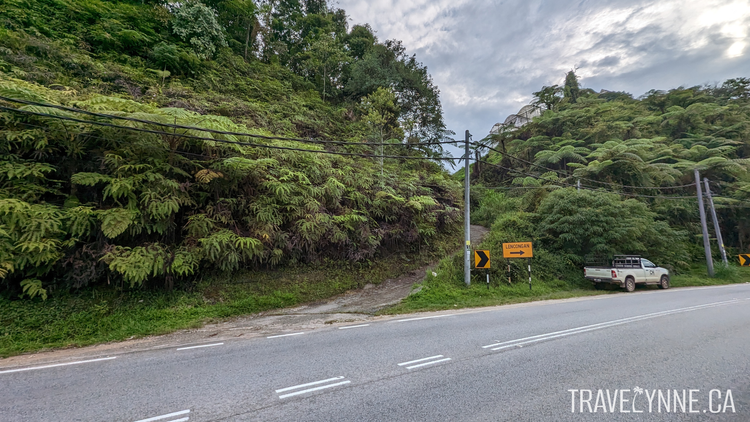 Explore Cameron Highlands - Day Trip from Kuala Lumpur — Travelynne