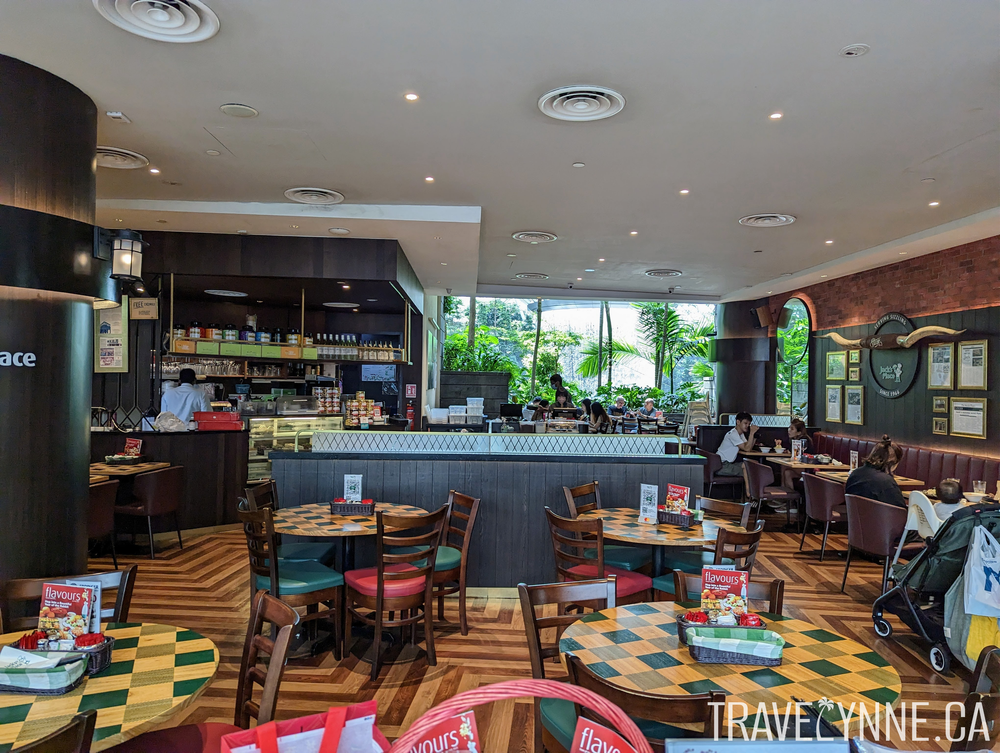 Insider Guide to Jewel Changi Airport — Travelynne