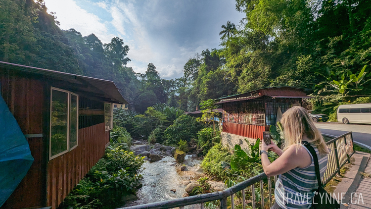 Explore Cameron Highlands - Day Trip from Kuala Lumpur — Travelynne