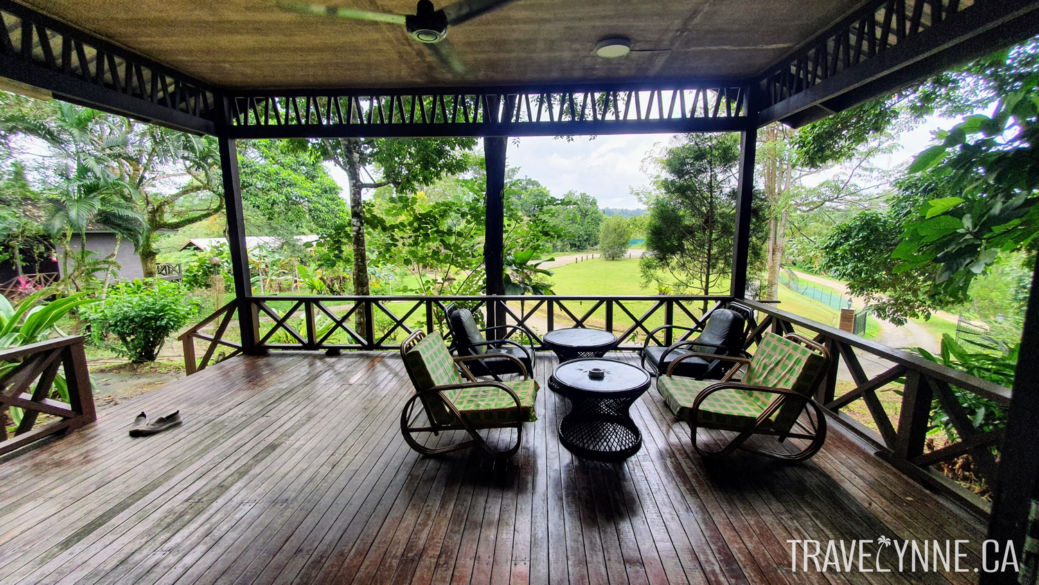 Ultimate Sabah Adventure Guide: Wildlife, Trekking & Diving in ...