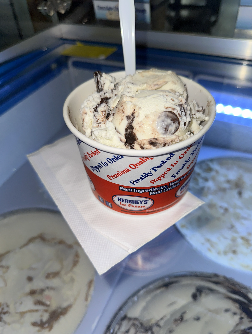 Hershey's Ice Cream-Sammy's Kitchen