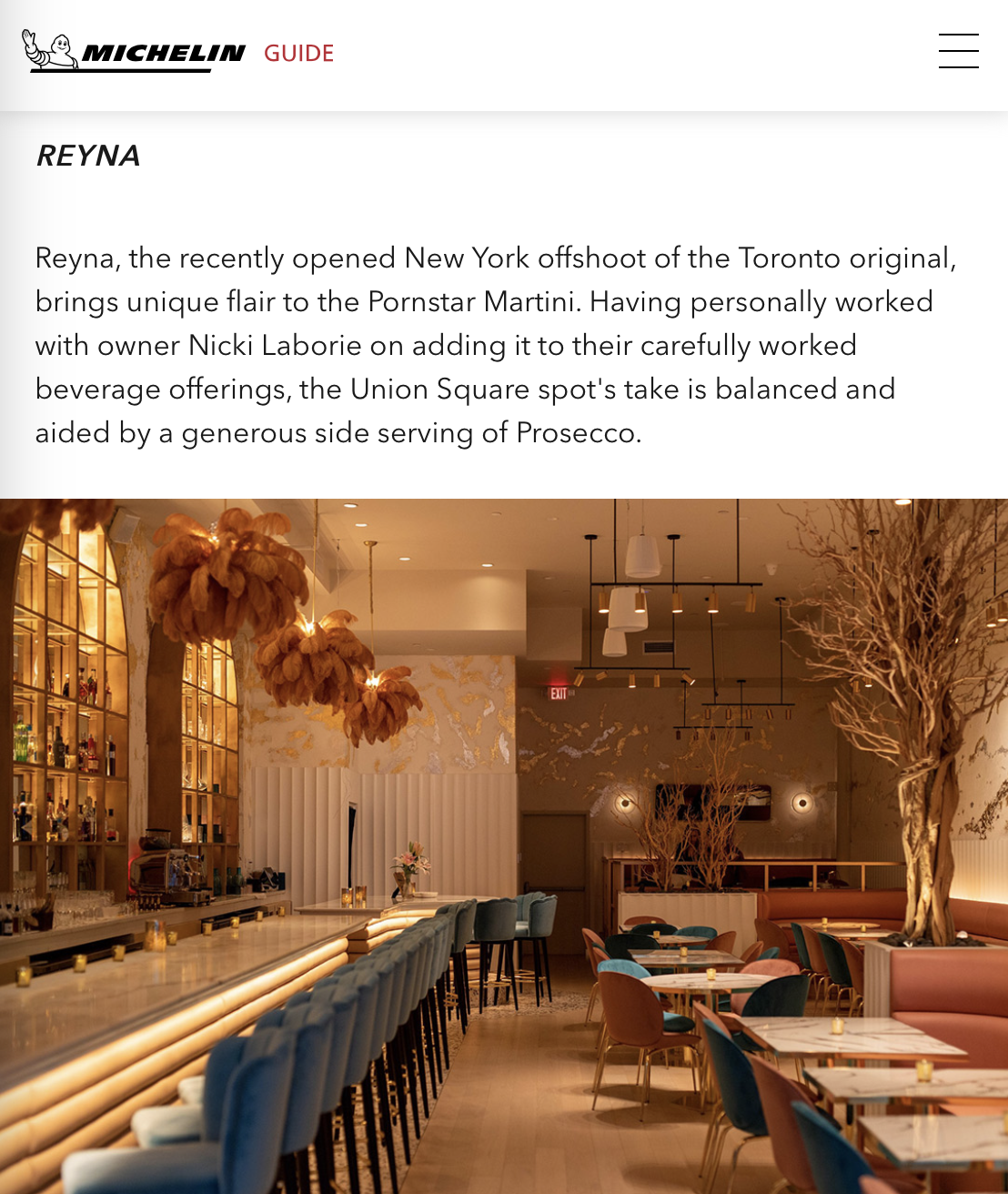 Press & Reviews — Reyna New York — Union Square's Tapas Restaurant ...