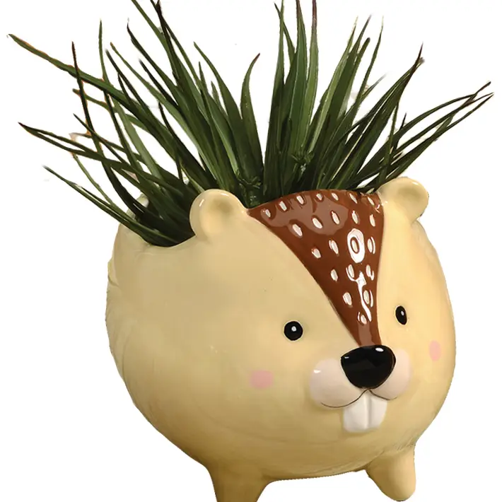 Milo the Frog | The Pot City