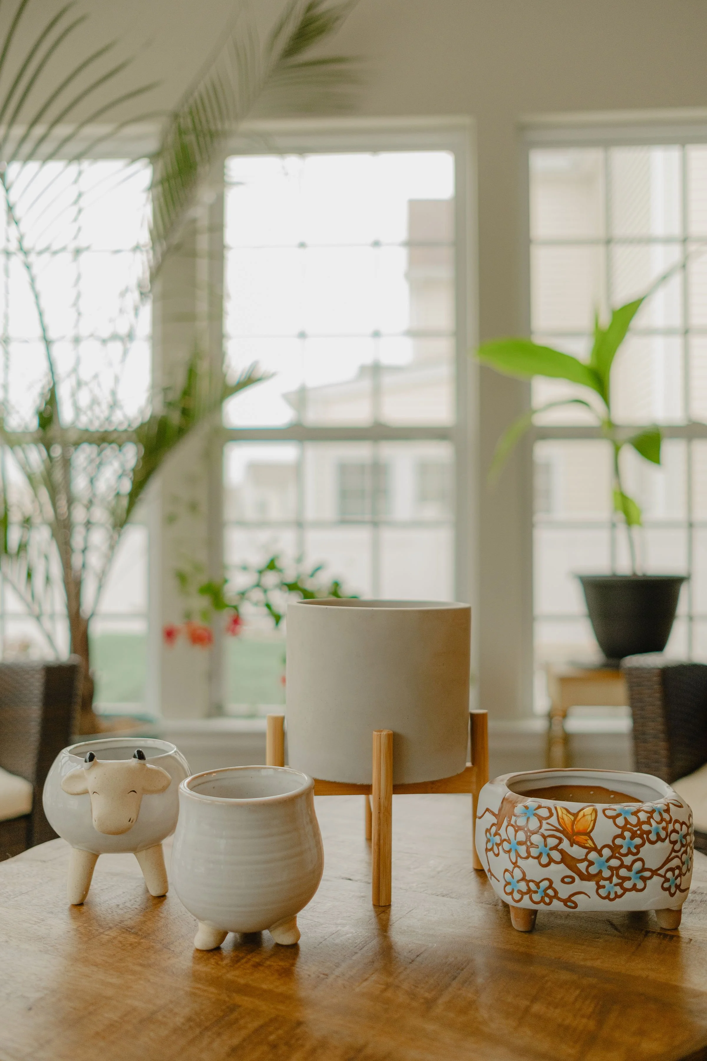 The Pot City | Flower Pot Store