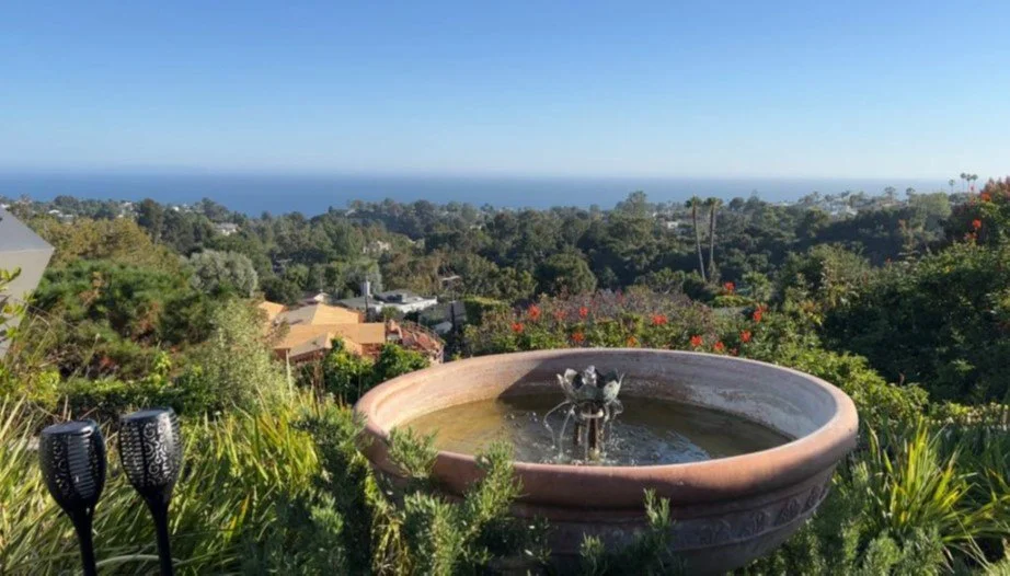 Dialogues With Patrick — Sharmadá