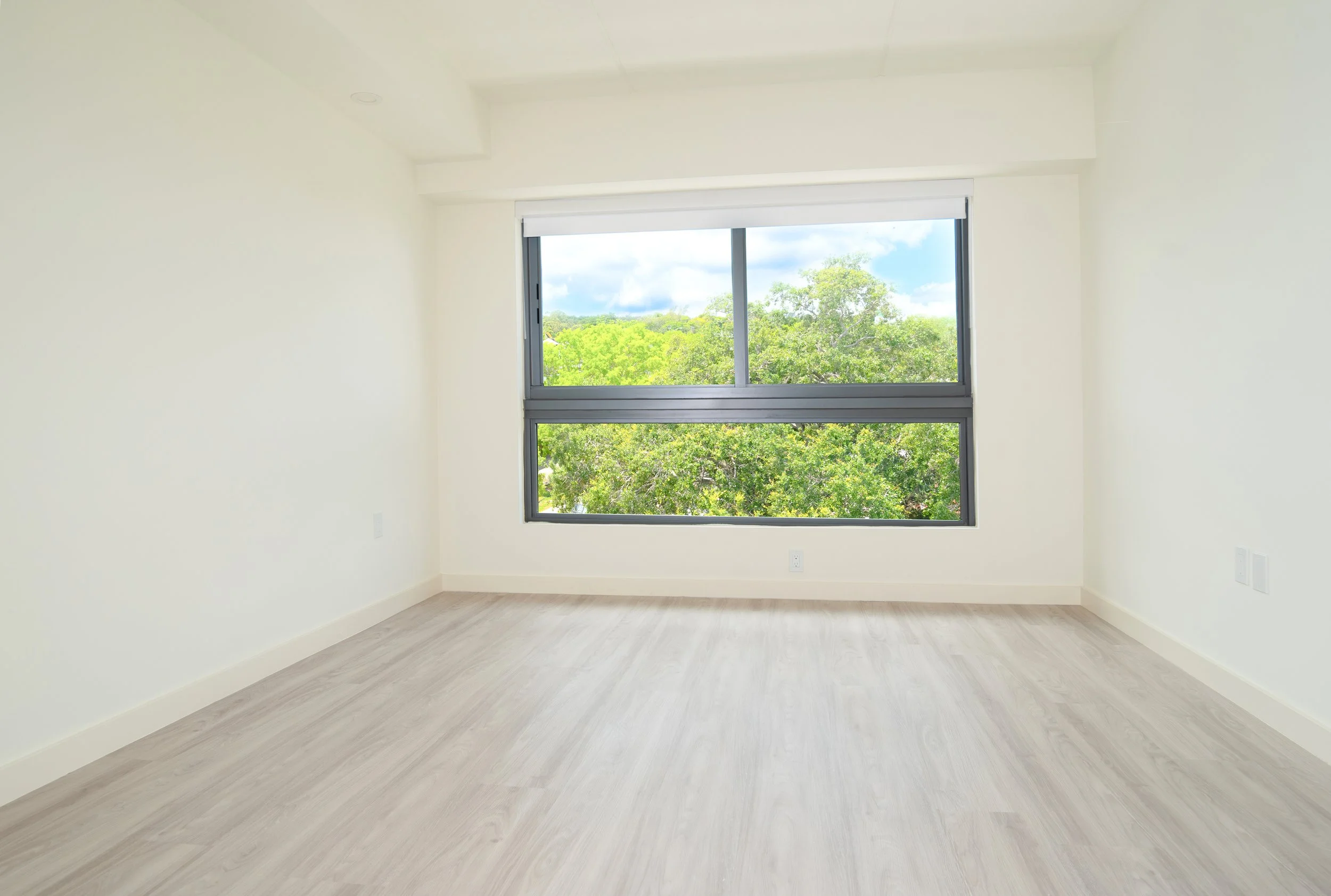 Gallery — Silver Bluff Underline