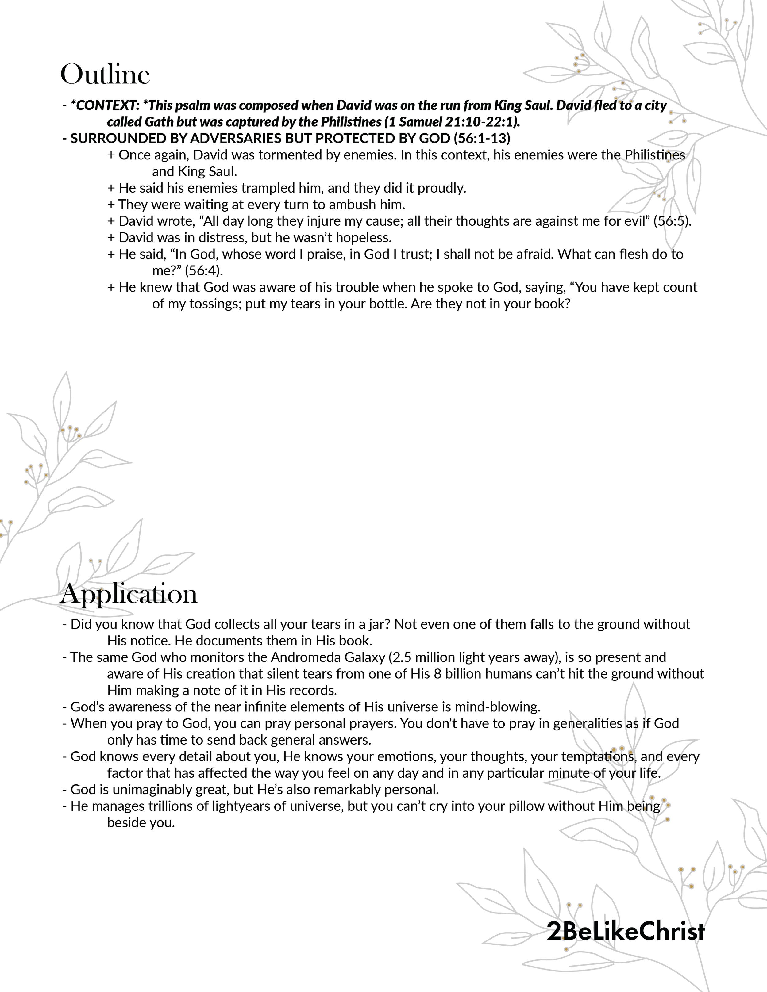 Psalm 56 Summary - 5 Minute Bible Study — 2BeLikeChrist