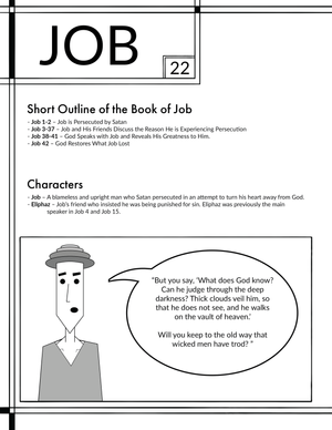 Job 22 Summary - 5 Minute Bible Study — 2BeLikeChrist