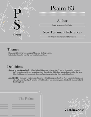Psalm 63 Summary - 5 Minute Bible Study — 2BeLikeChrist