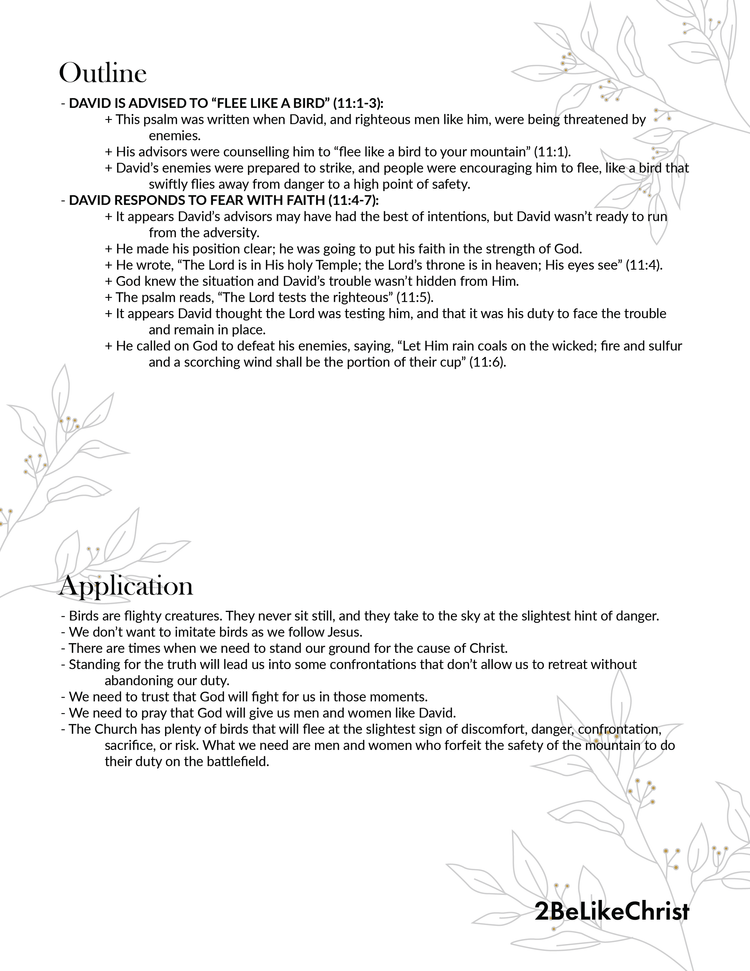 Psalm 11 Summary - 5 Minute Bible Study — 2BeLikeChrist