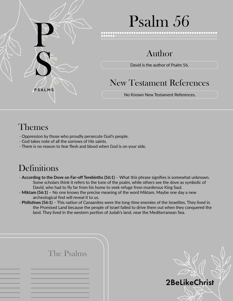 Psalm 56 Summary - 5 Minute Bible Study — 2BeLikeChrist