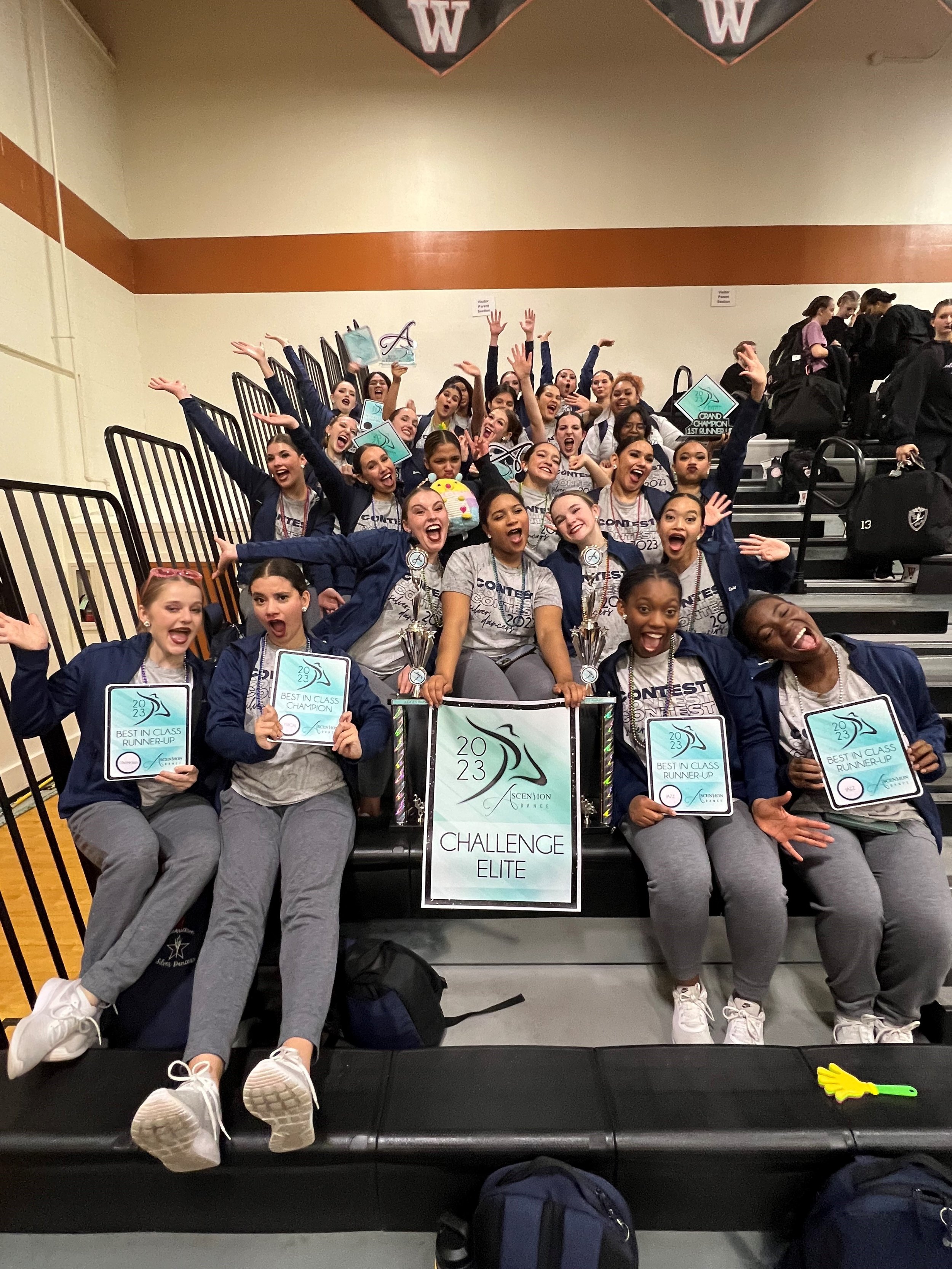 Hendrickson Silver Dancers