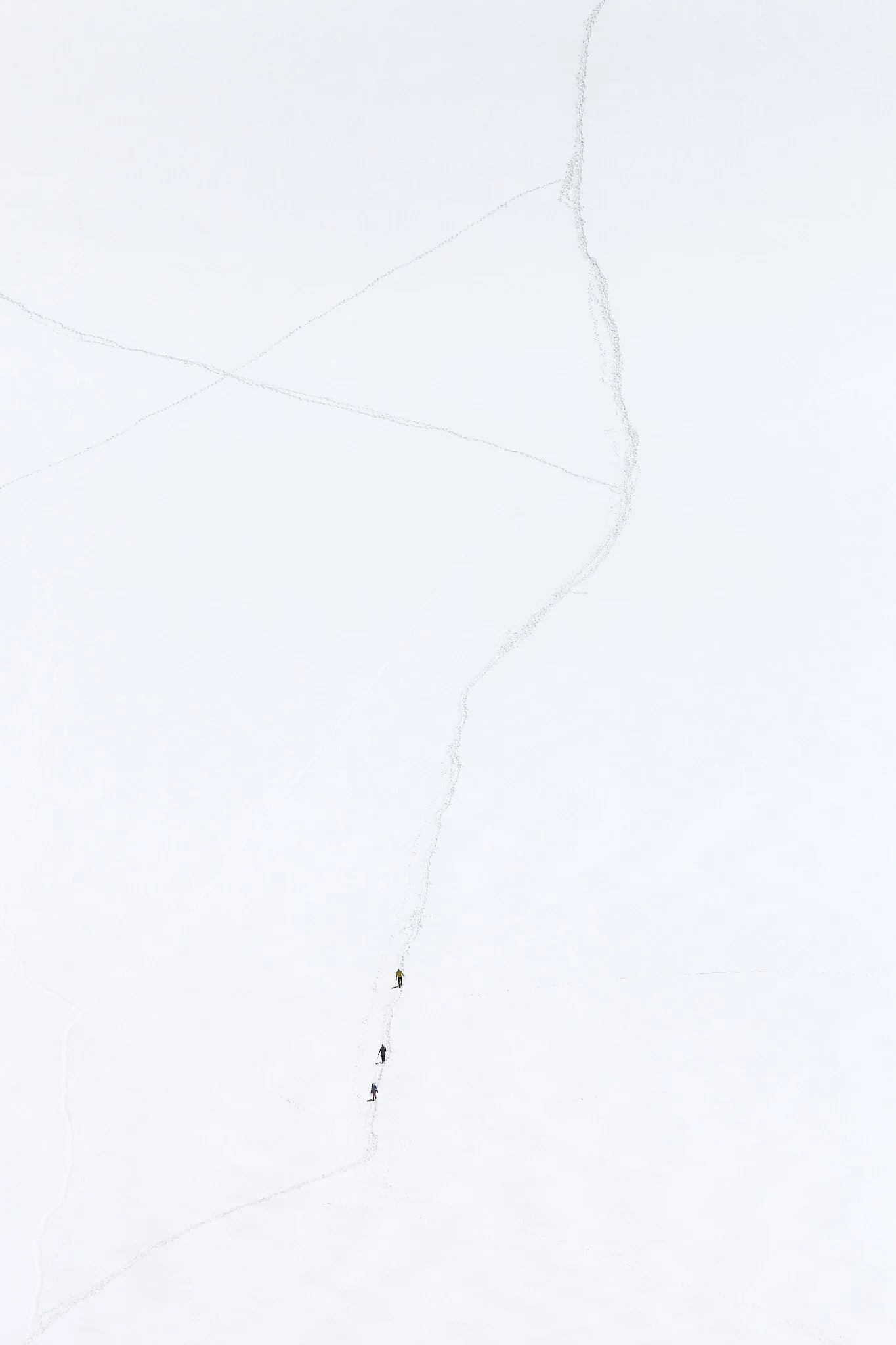 Terrain d'Adventure — Kevin Arrowsmith Photography