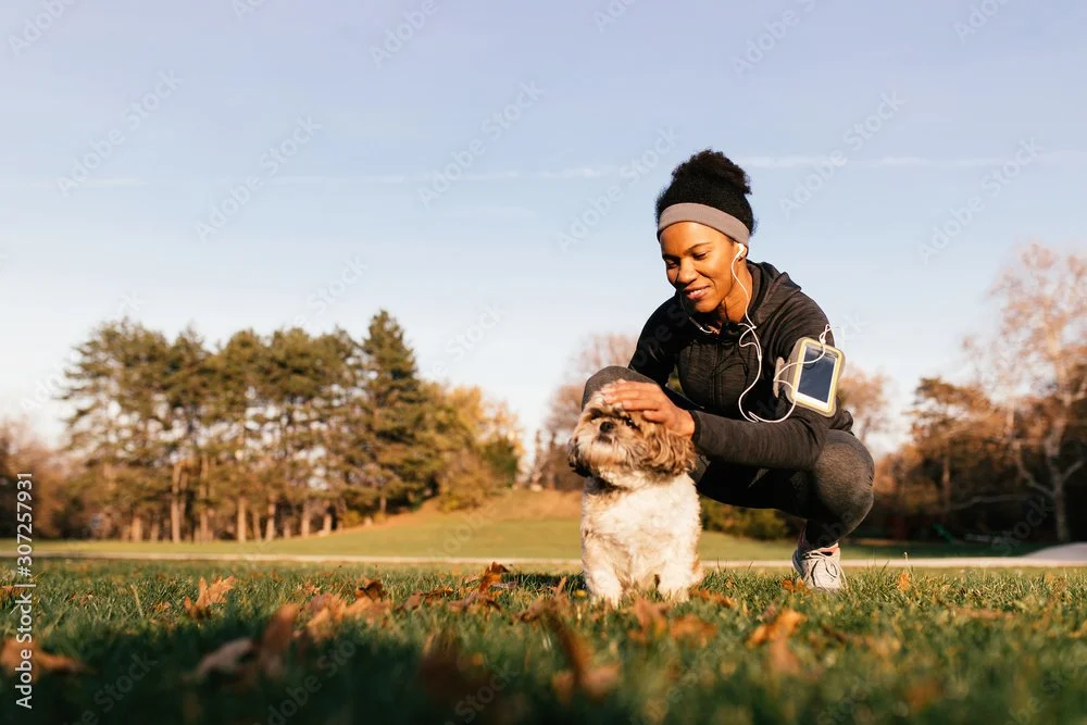 Better Way Dogs