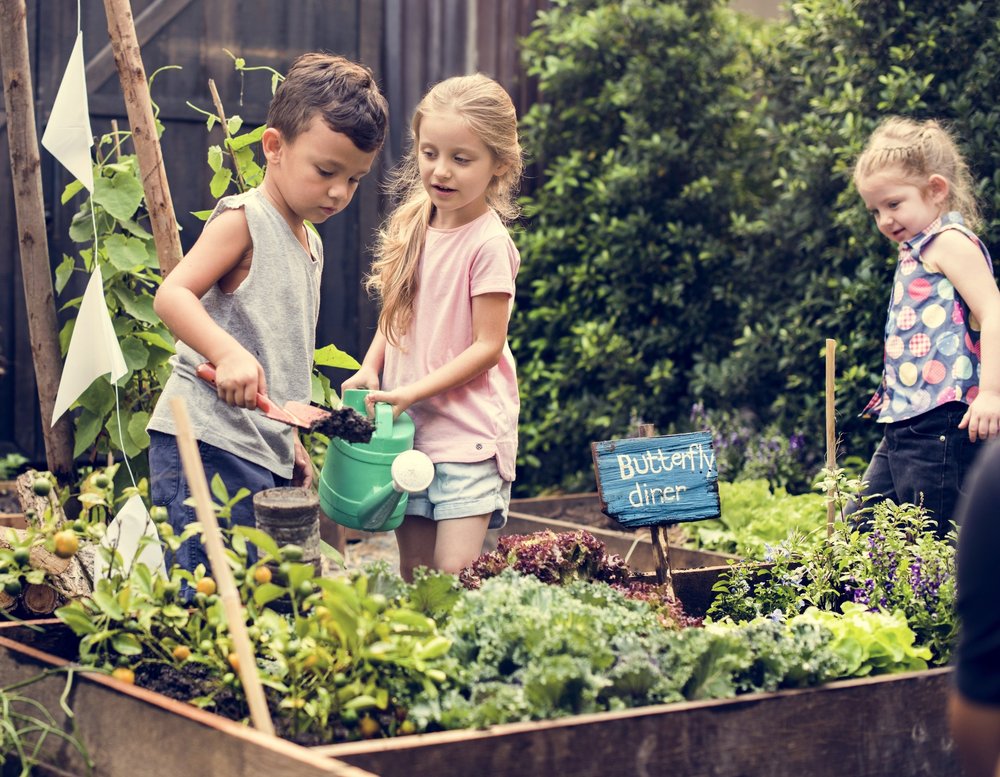 Ontdekkend leren —Kinderopvang Van Nature