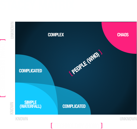 What is the 'Stacey Matrix'? — ROEL TIMMERMANS